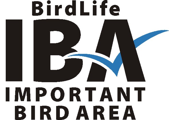 What is an IBA? | Manitoba Important Bird Areas Program