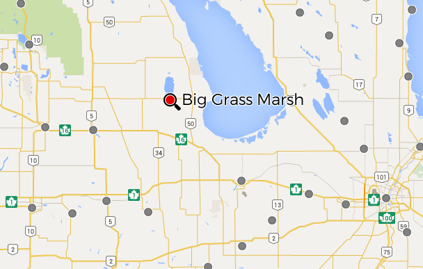 Big Grass Marsh Trip Report | Manitoba Important Bird Areas Program