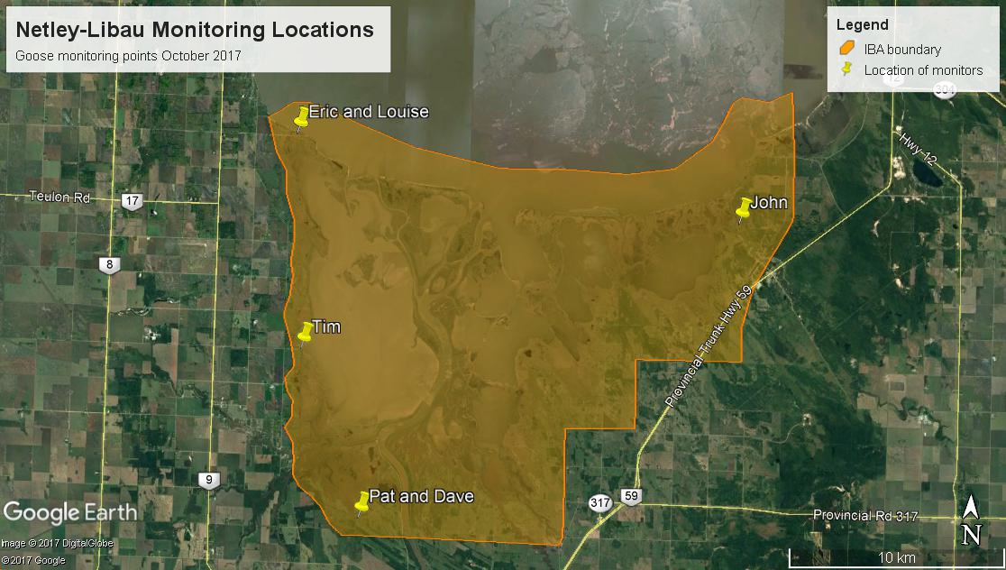 Netley-Libau Goose Count and Marsh Day Tour on the Red River | Manitoba ...