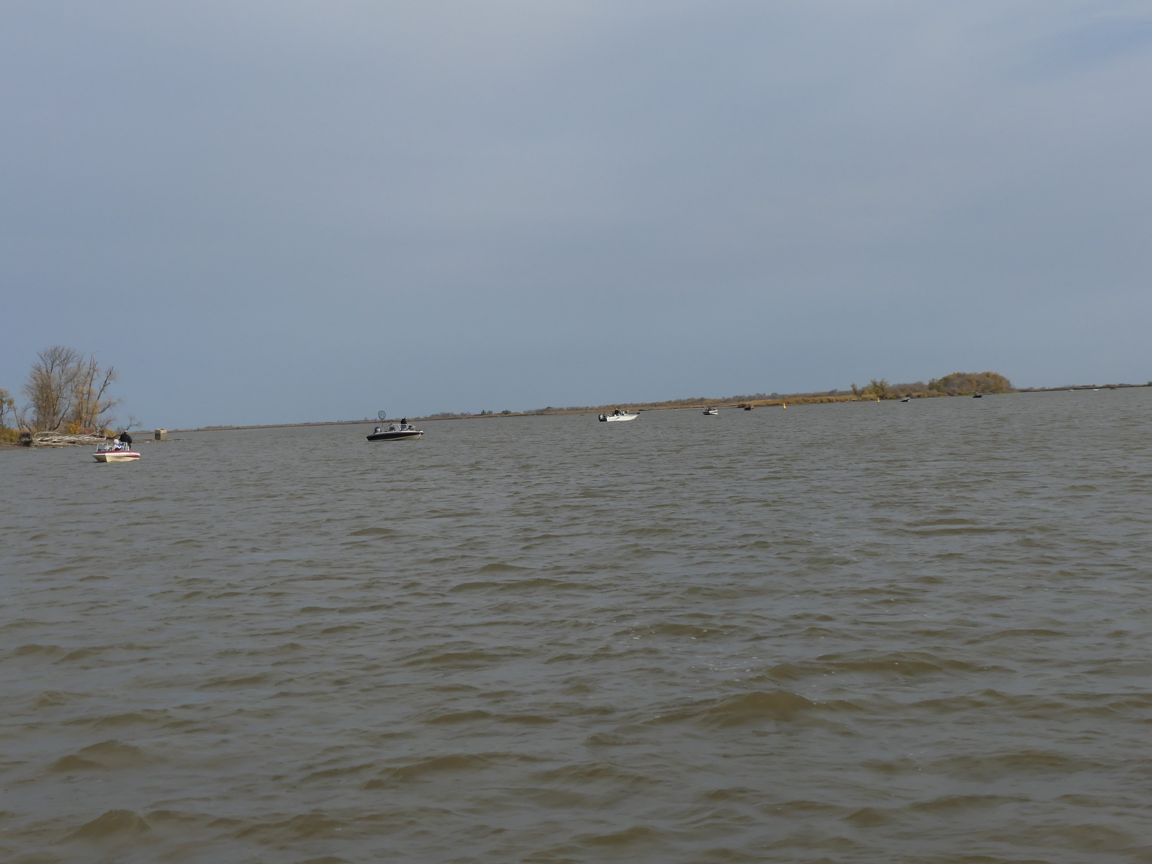 Netley-Libau Goose Count and Marsh Day Tour on the Red River | Manitoba ...