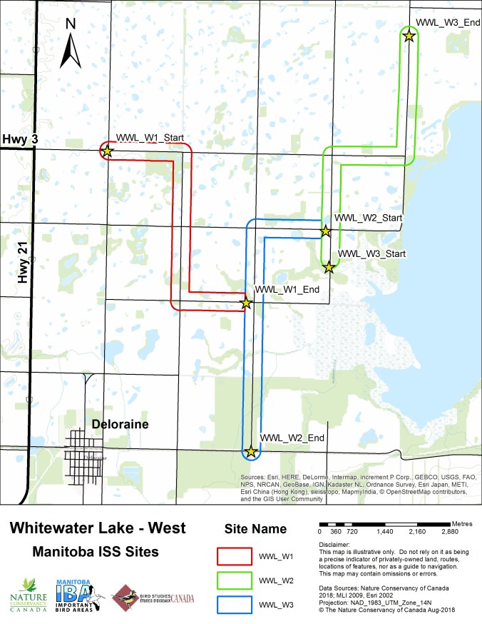 The International Shorebird Survey (ISS) in Manitoba – an Encouraging ...