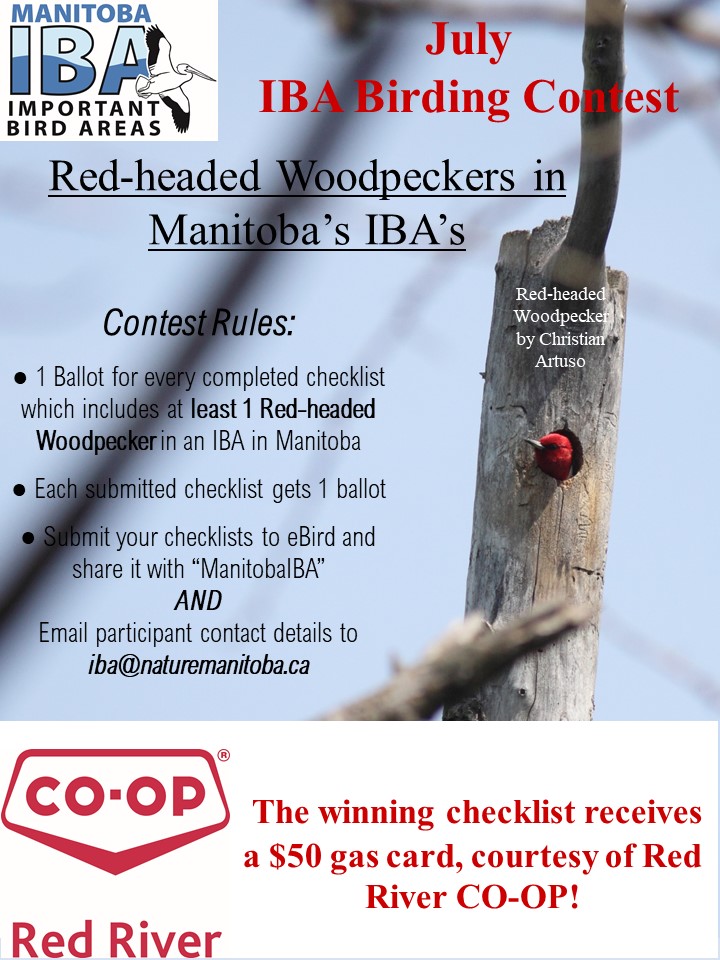 July IBA eBird Contest | Manitoba Important Bird Areas Program